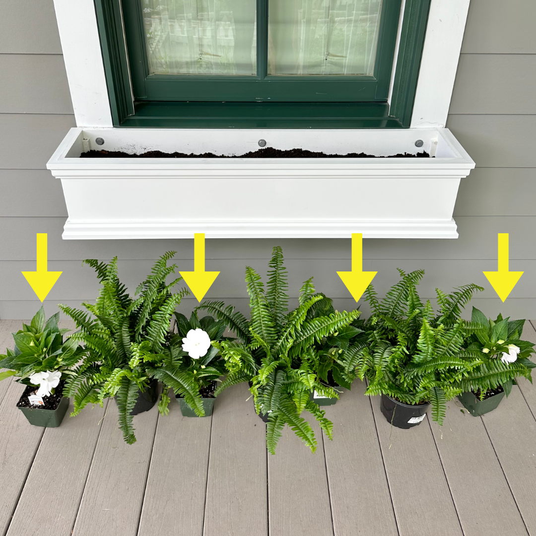 Window Boxes 201: Learn to Plant Like a Pro - Hooks & Lattice