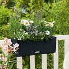 Window Boxes 101: How to Choose and Fill Flower Boxes for Instant Curb ...