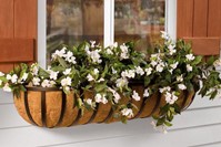 Window Boxes 101: How to Choose and Fill Flower Boxes for Instant Curb ...